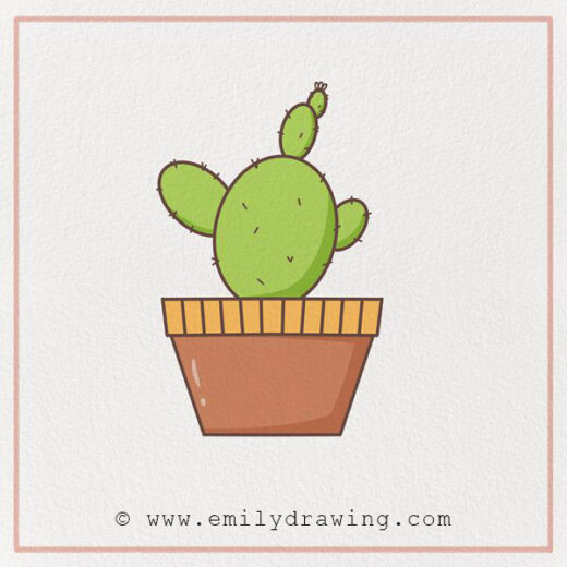 How to Draw a Cactus - Emily Drawing