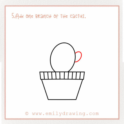 How to Draw a Cactus - Emily Drawing