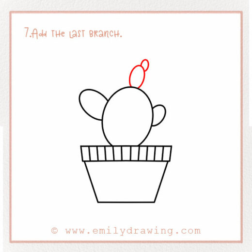 How to Draw a Cactus - Emily Drawing