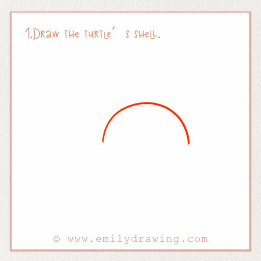 How to Draw a Turtle - Emily Drawing