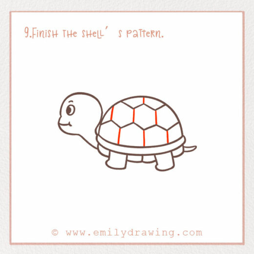 How to Draw a Turtle - Emily Drawing
