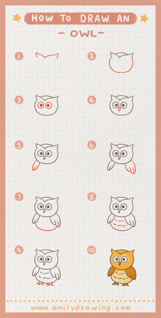 How to Draw an Owl - Emily Drawing