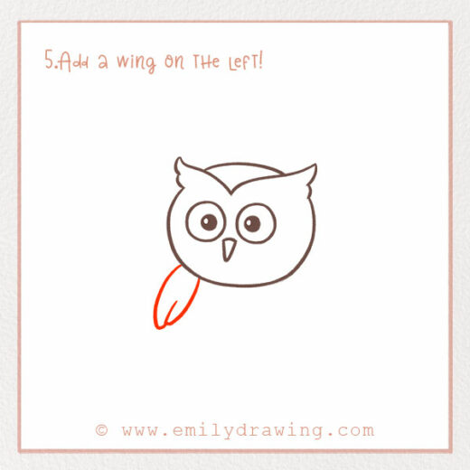 How to Draw an Owl - Emily Drawing