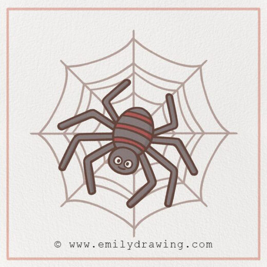 How to Draw a Spider - Emily Drawing