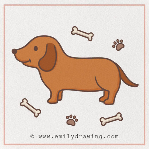 How to Draw a Dachshund - Emily Drawing
