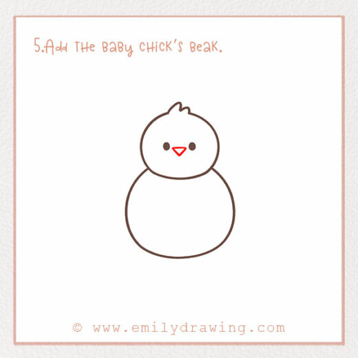 How to Draw a Baby Chick - Emily Drawing