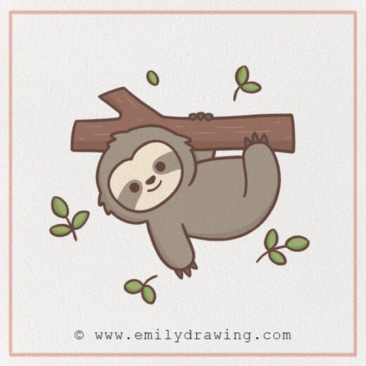 How to Draw a Sloth - Emily Drawing