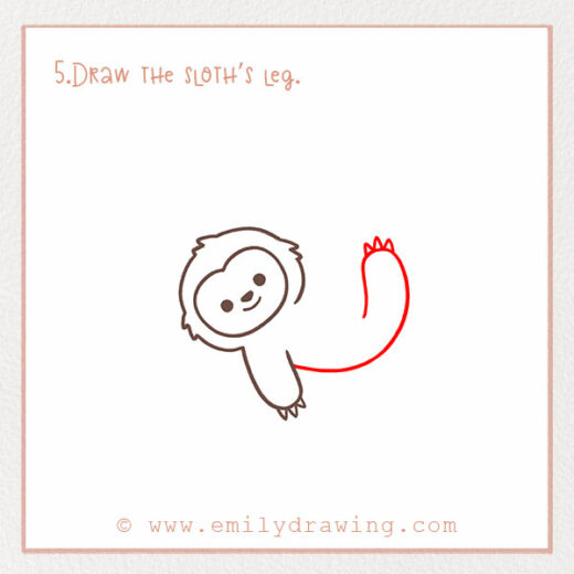 How to Draw a Sloth - Emily Drawing