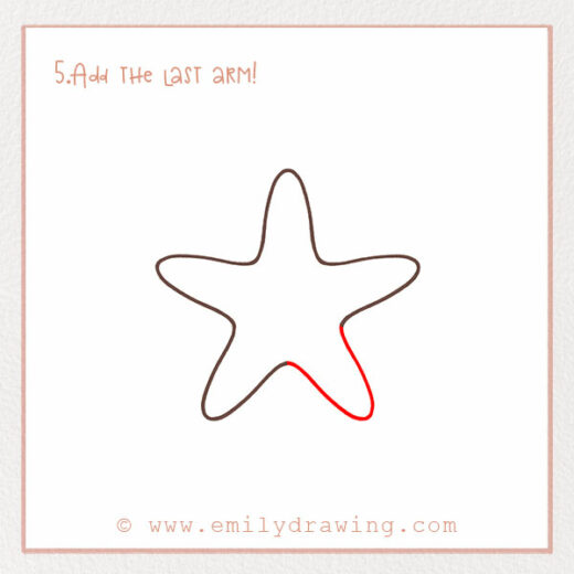 How to Draw a Starfish - Emily Drawing