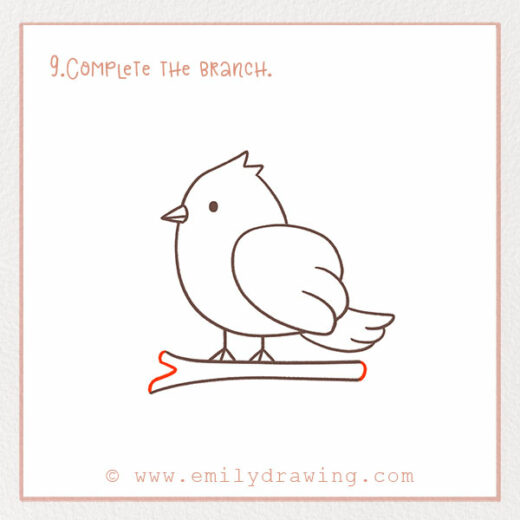 How to Draw a Bird - Emily Drawing