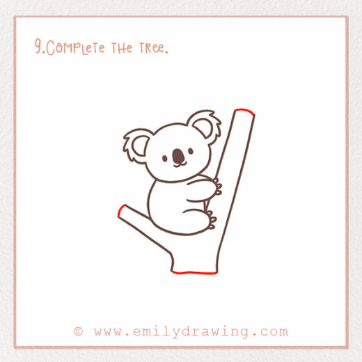 How to Draw a Koala - Emily Drawing