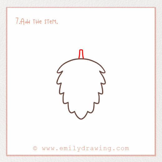How to Draw a Pine cone - Emily Drawing