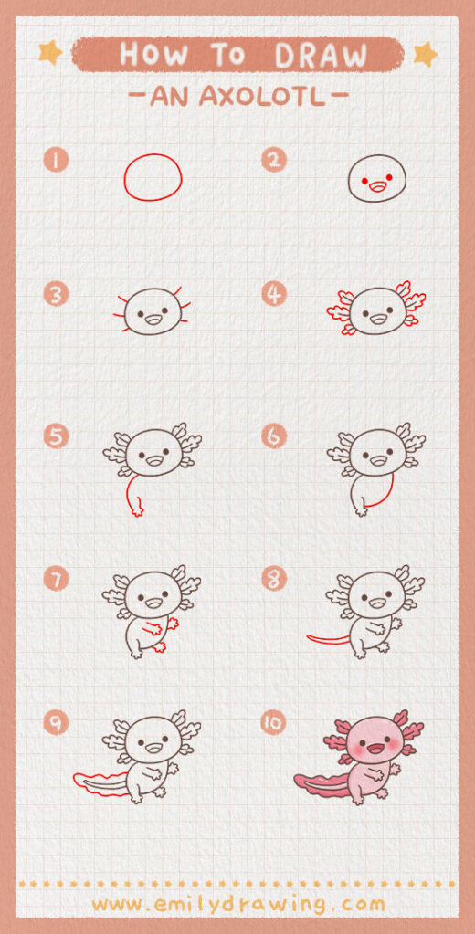 How to Draw an Axolotl - Emily Drawing