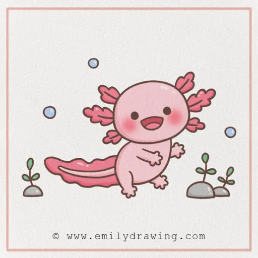How To Draw An Axolotl Emily Drawing