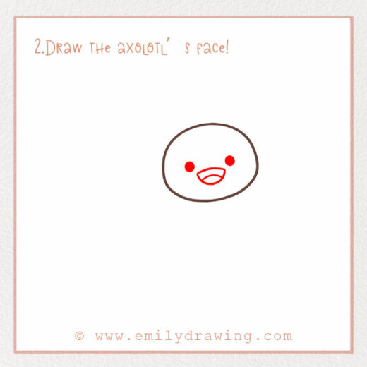 How to Draw an Axolotl - Emily Drawing