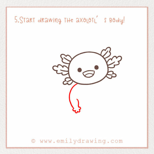 How to Draw an Axolotl - Emily Drawing