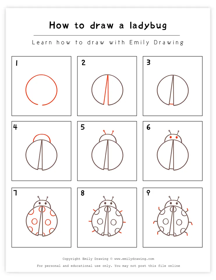 How To Draw A Ladybug Step By Step For Kids How To Draw A Ladybug For