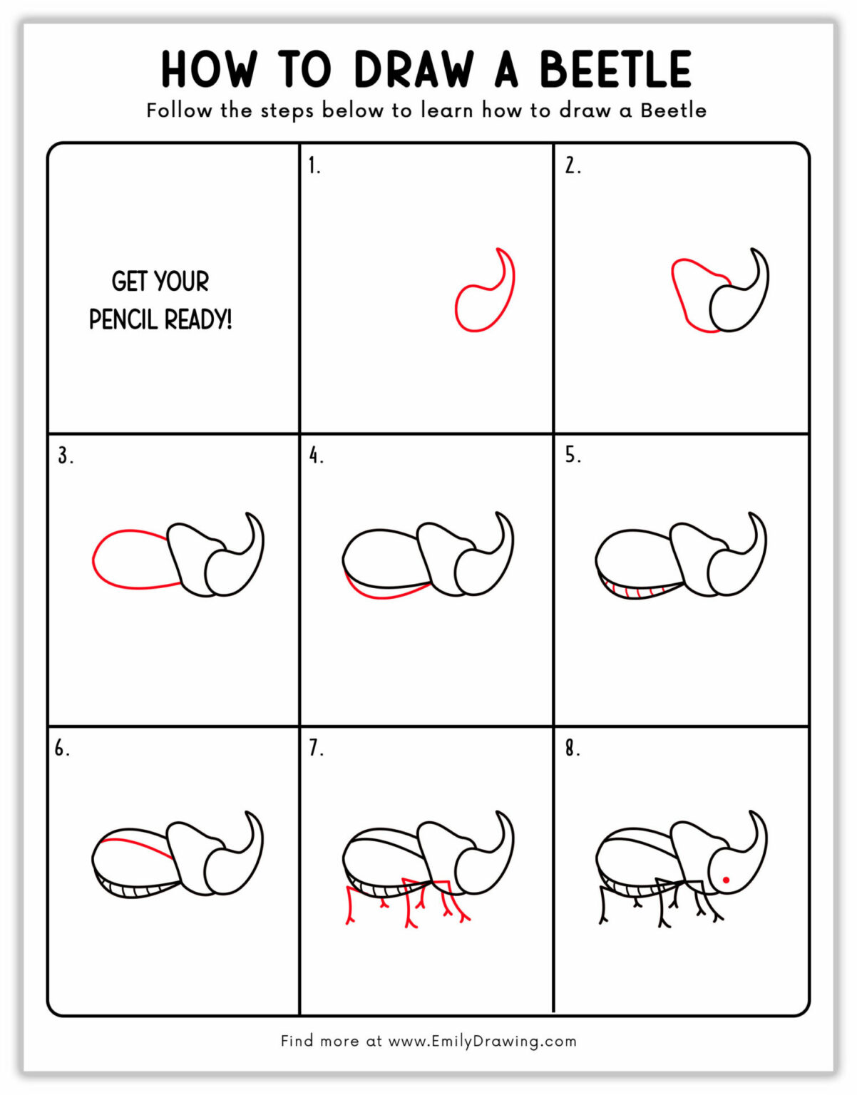 How to Draw a Beetle - Emily Drawing