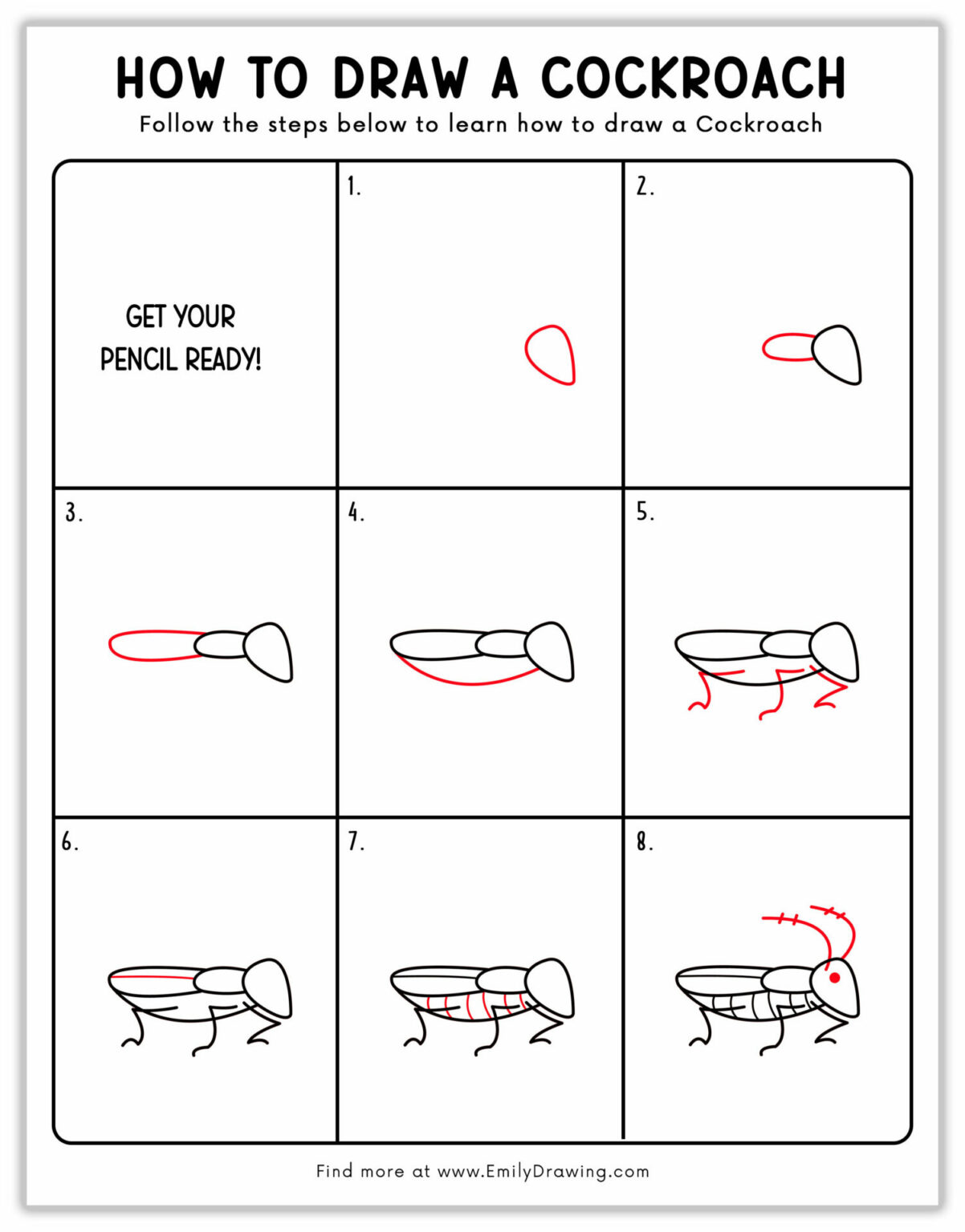 How to Draw a Cockroach - Emily Drawing