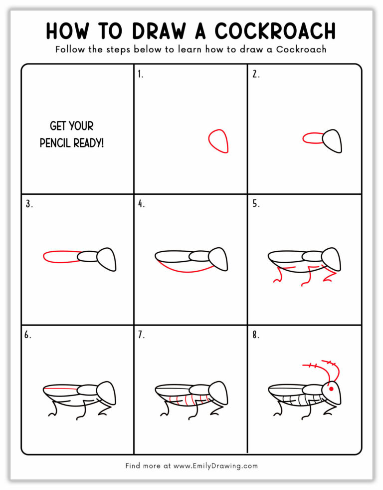 How to Draw a Cockroach - Emily Drawing