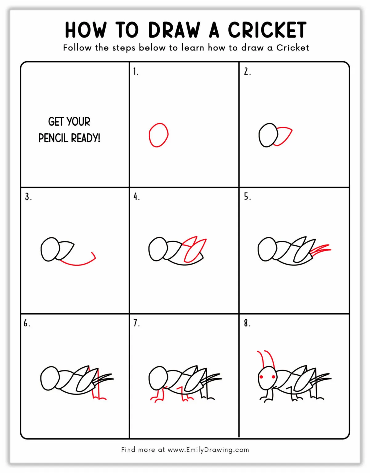 How to Draw a Cricket - Emily Drawing