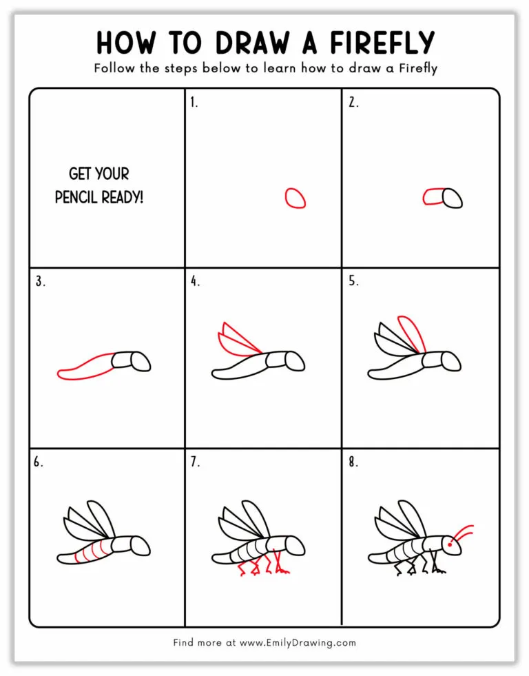 How to Draw a Firefly - Emily Drawing