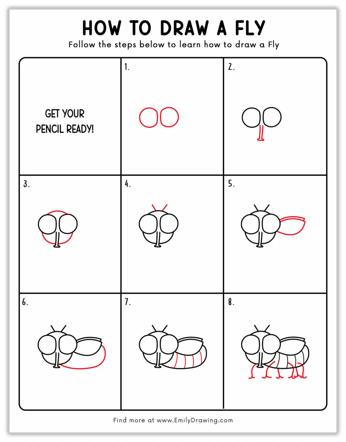 How to Draw a Fly - Emily Drawing