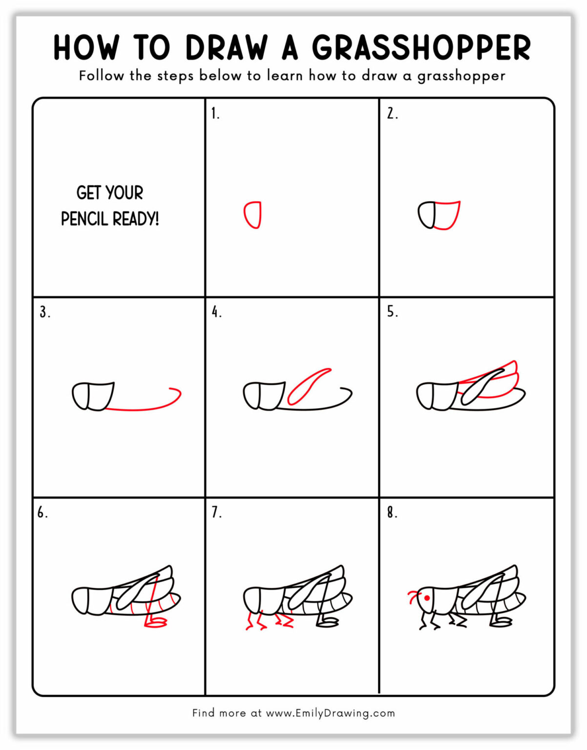 How to Draw a Grasshopper - Emily Drawing