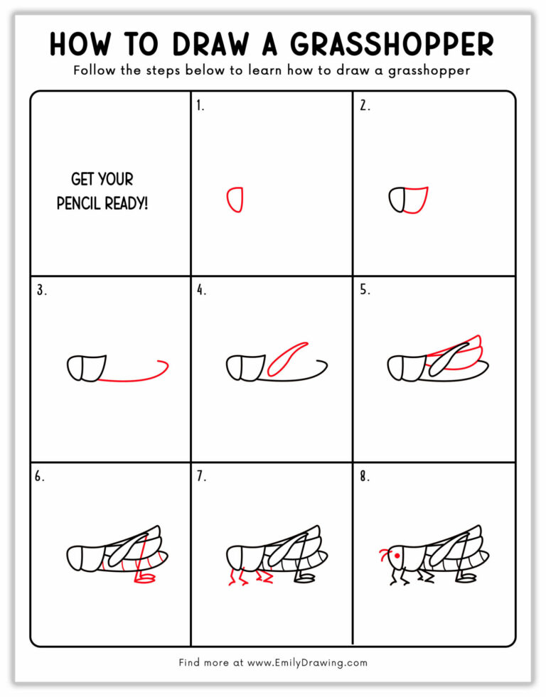 How To Draw A Grasshopper Emily Drawing