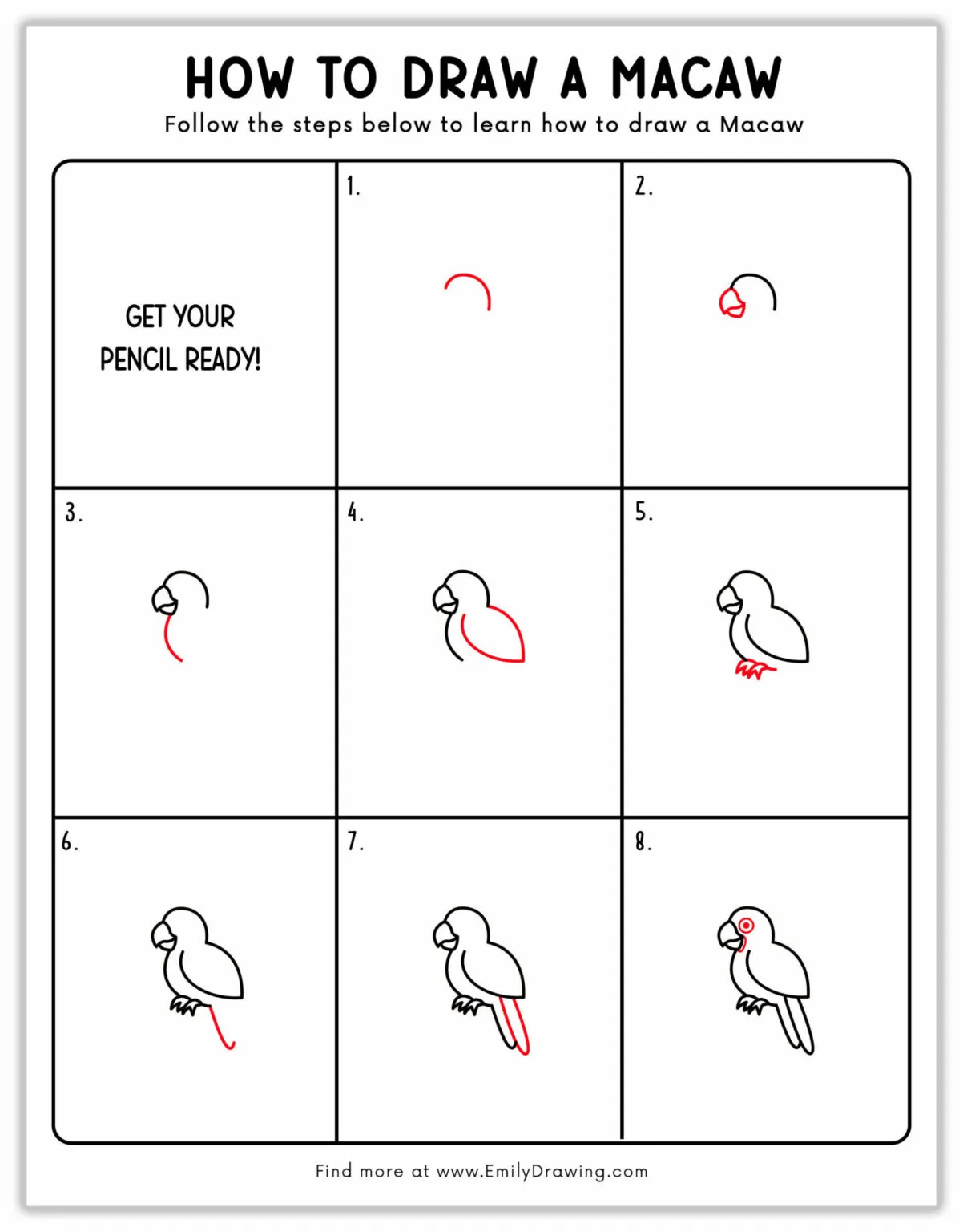 How to Draw a Macaw - Emily Drawing