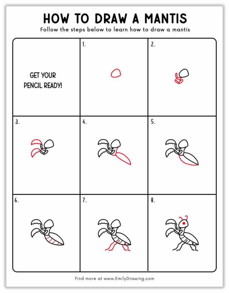 How to Draw a Mantis - Emily Drawing