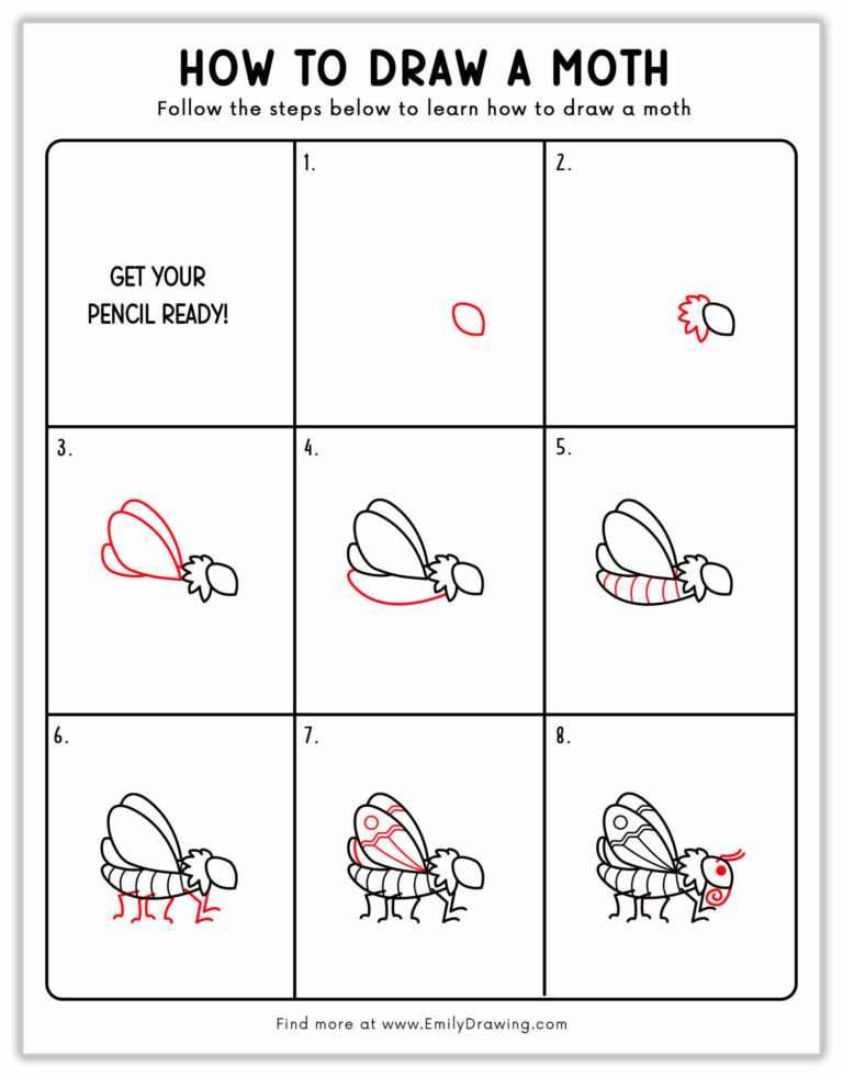 How to Draw a Moth - Emily Drawing