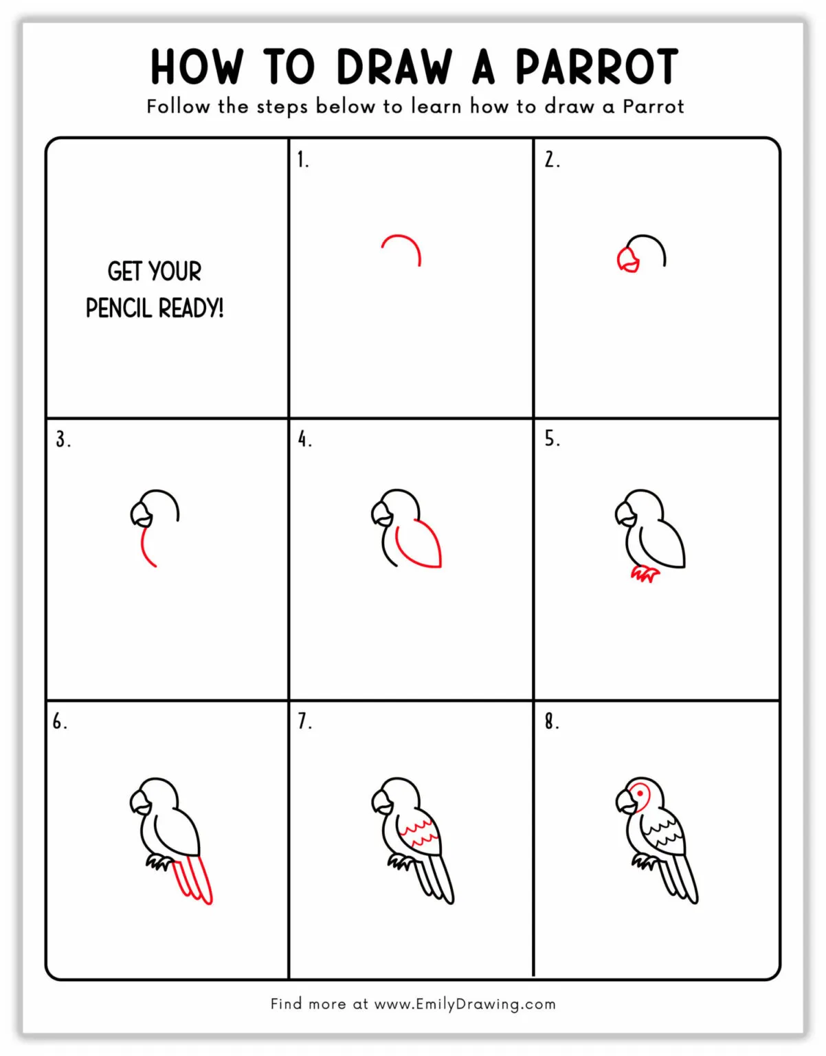 How to Draw a Parrot - Emily Drawing