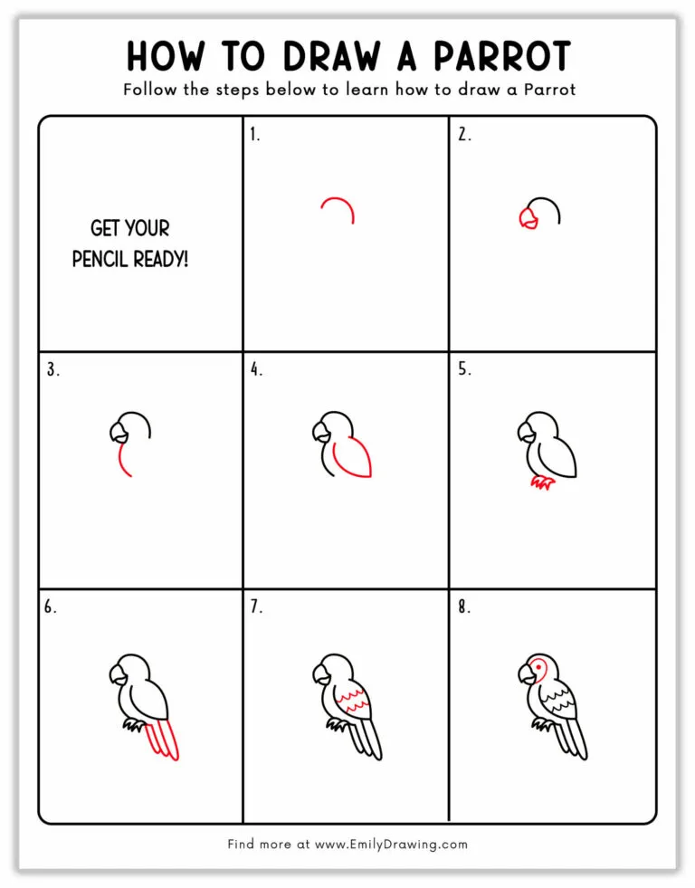How to Draw a Parrot - Emily Drawing