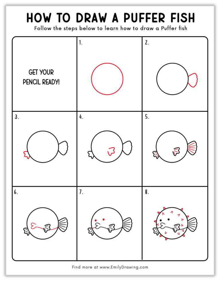 How to Draw a Puffer Fish - Emily Drawing