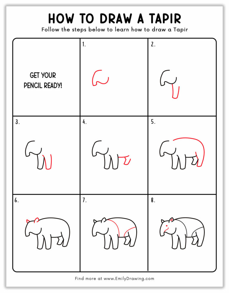 How to Draw a Tapir - Emily Drawing