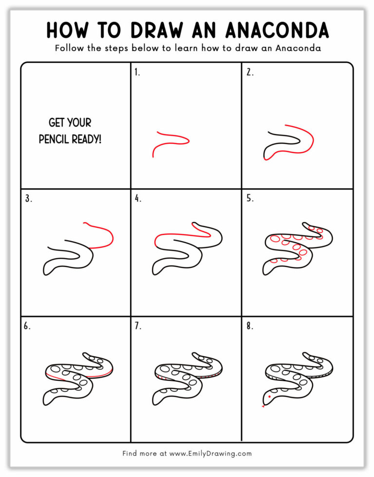 How to Draw an Anaconda - Emily Drawing