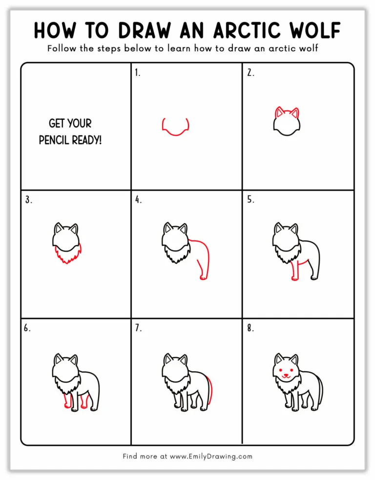 How to Draw an Arctic Wolf - Emily Drawing