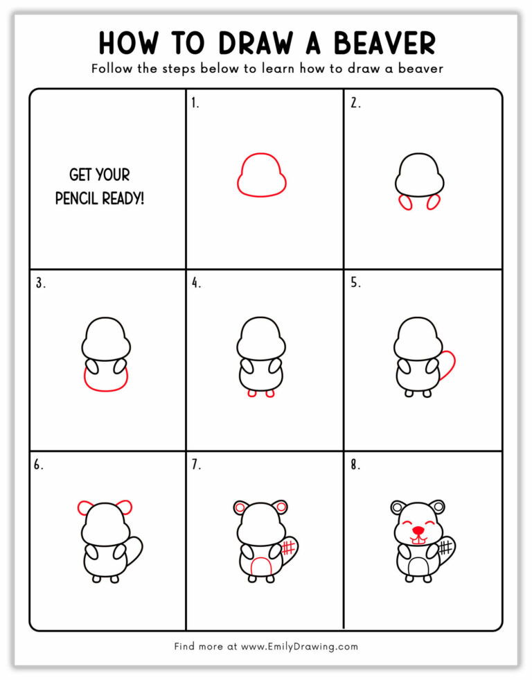 How To Draw A Beaver - Emily Drawing
