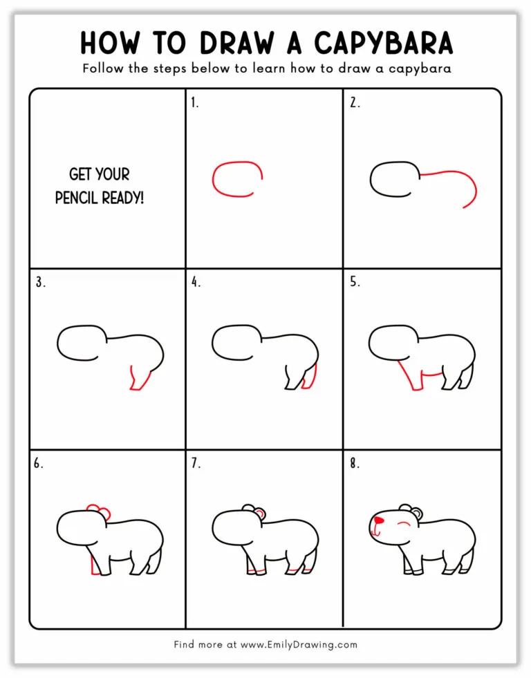 How To Draw A Capybara - Emily Drawing