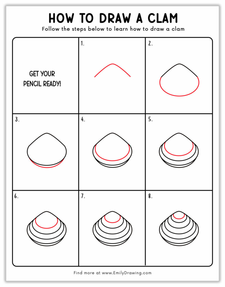 How To Draw A Clam - Emily Drawing