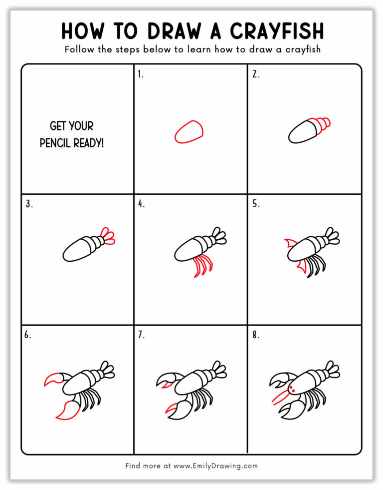 How To Draw A Crayfish - Emily Drawing