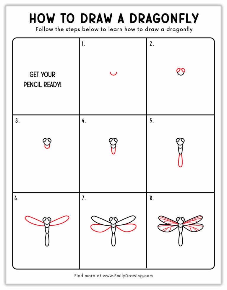 How To Draw A Dragonfly - Emily Drawing