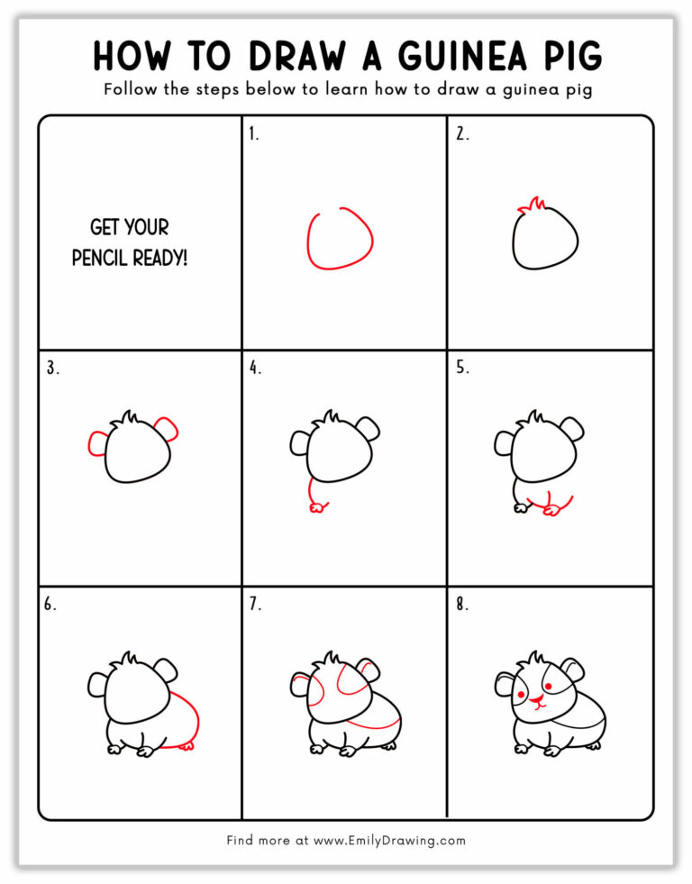 How To Draw A Guinea Pig - Emily Drawing
