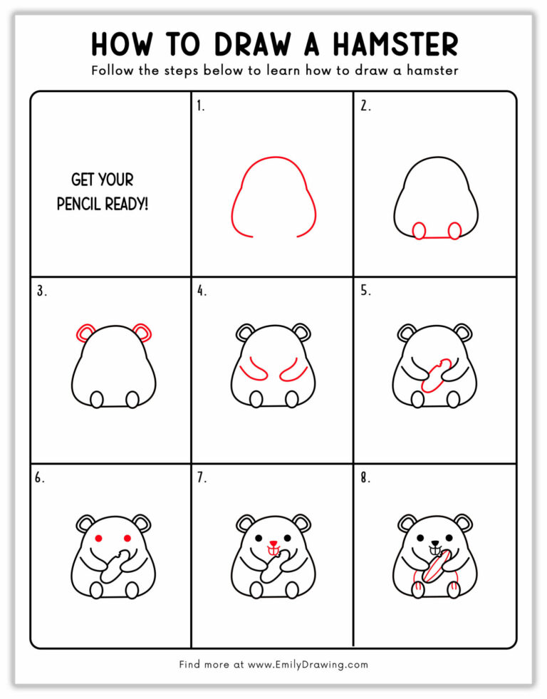 How To Draw A Hamster - Emily Drawing