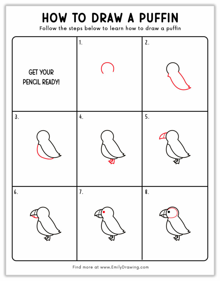 How To Draw A Puffin - Emily Drawing