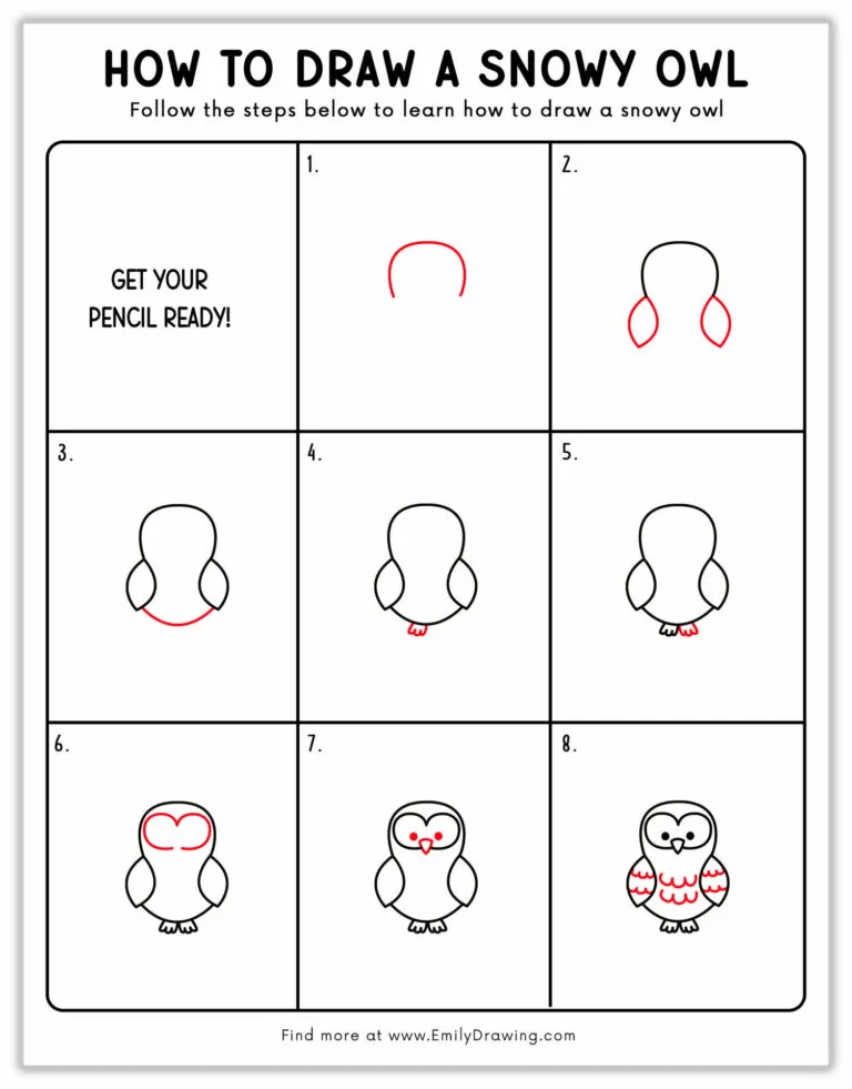 How To Draw A Snowy Owl - Emily Drawing