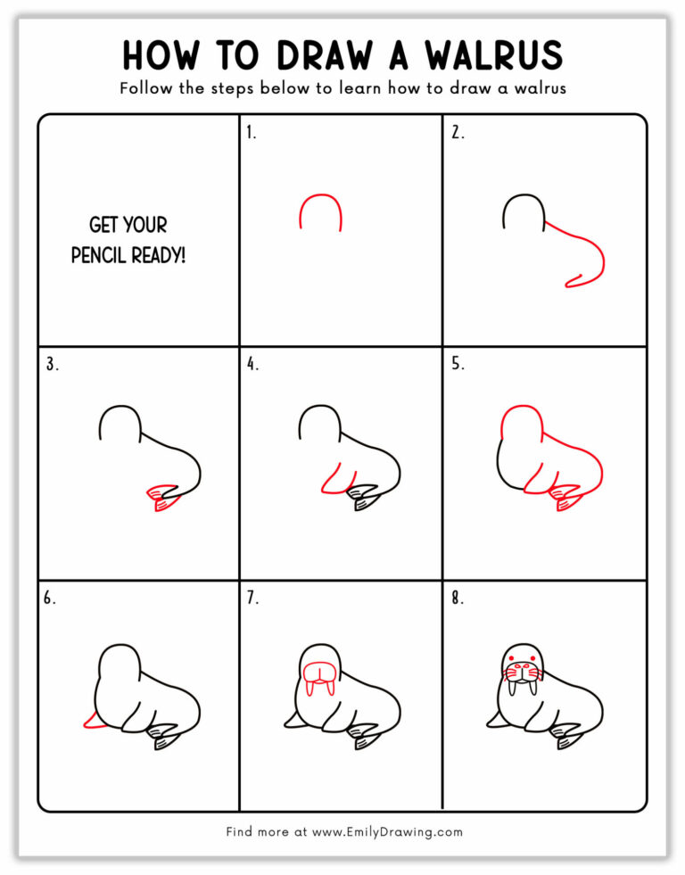How To Draw A Walrus - Emily Drawing