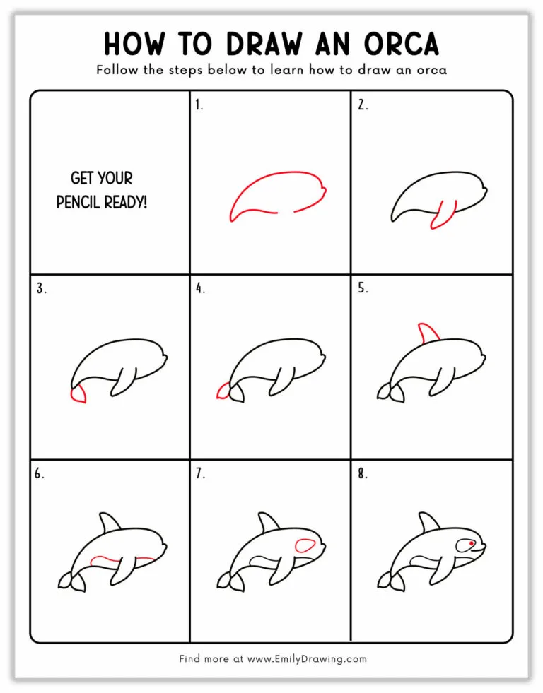 How To Draw An Orca - Emily Drawing