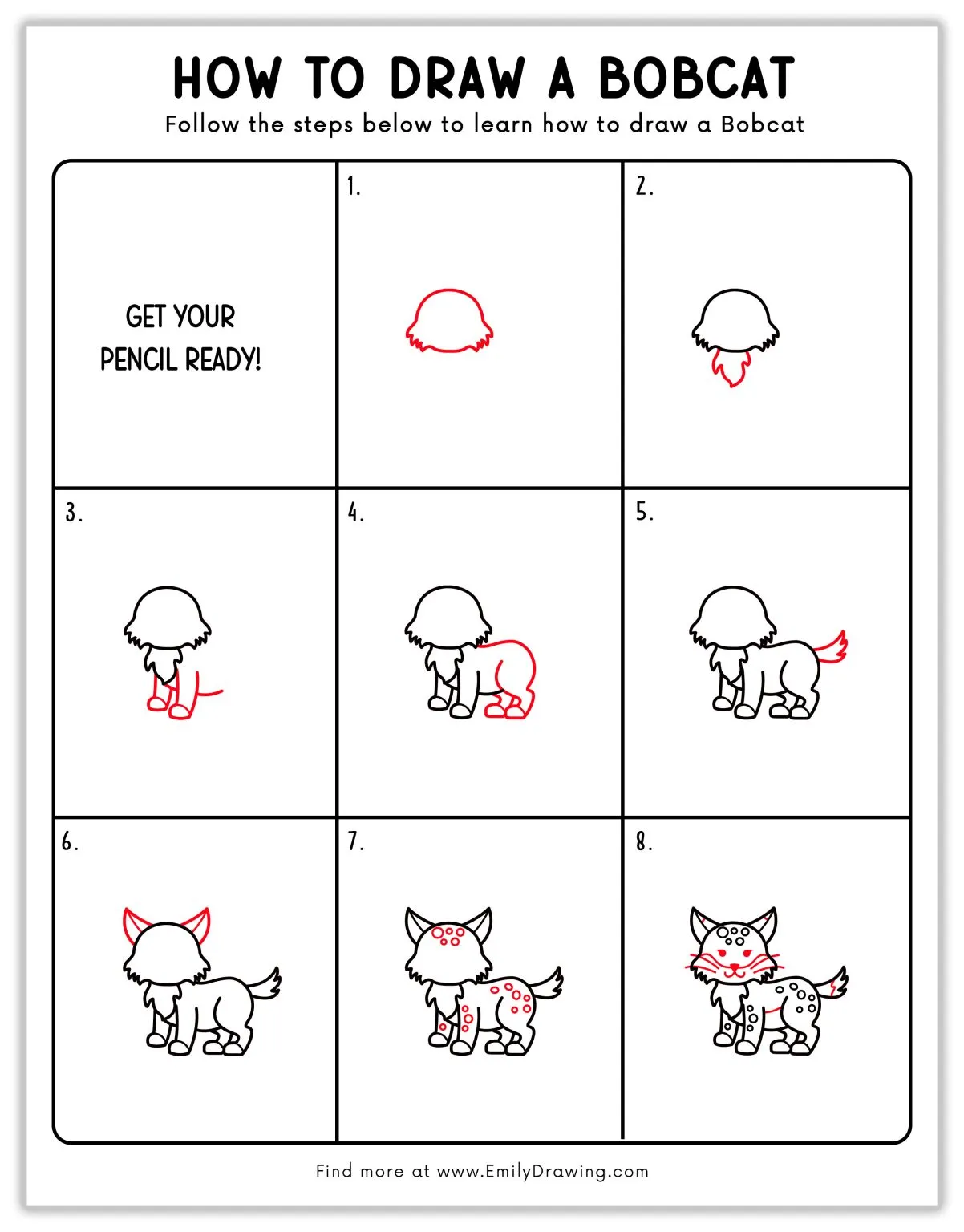 How to Draw a Bobcat - Emily Drawing